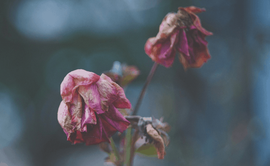 Getting Over Your Fear of the End - Generation Law